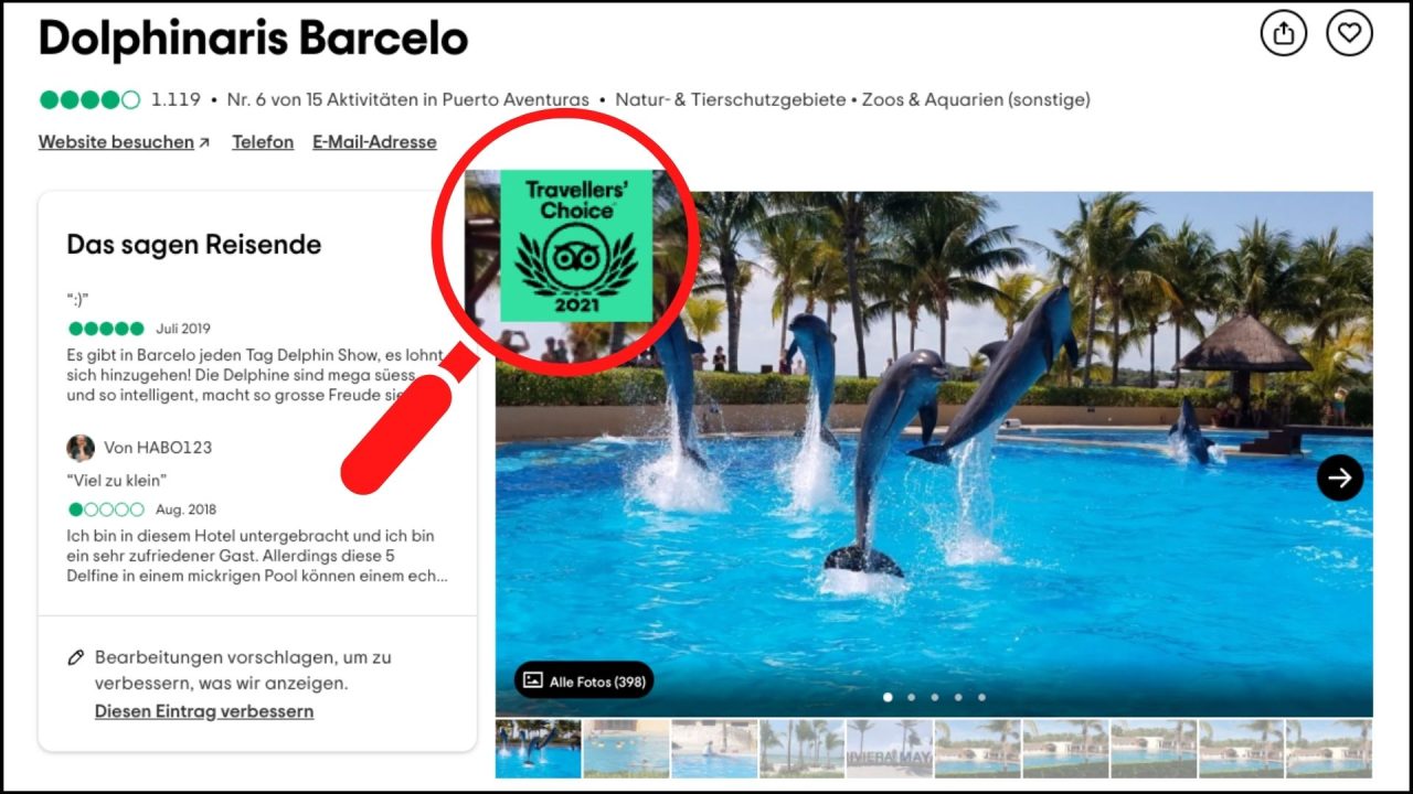 Tripadvisor schränkt Marketing für Delfinarien ein - GRD