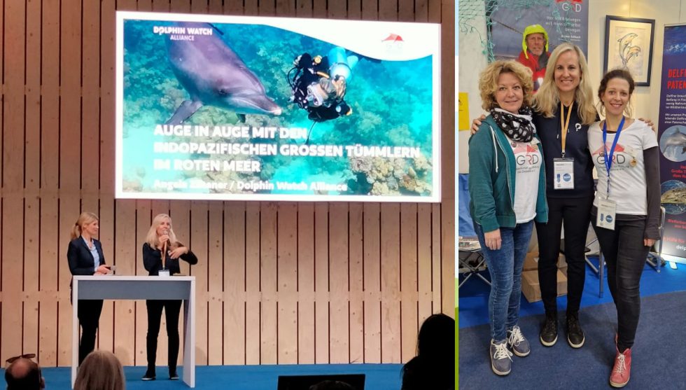 Die GRD auf der boot Düsseldorf - GRD
