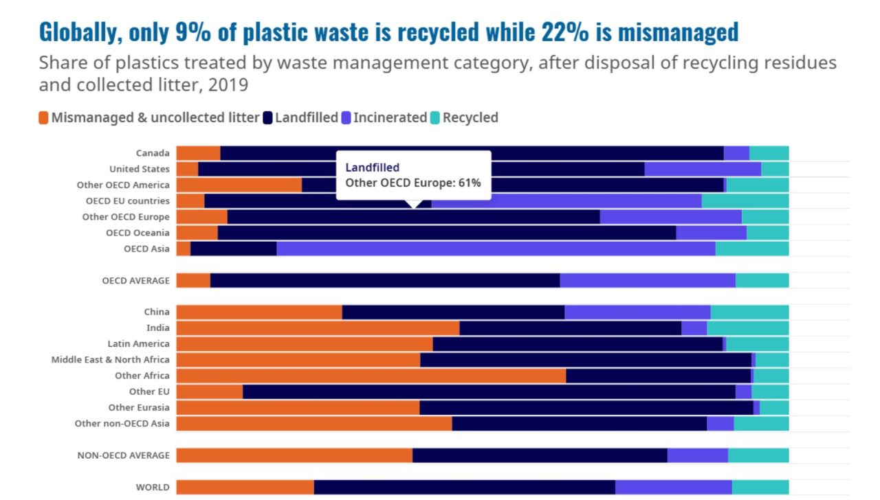 Technik und KI: Chancen zum Schutz der Delfine & Wale - GRD