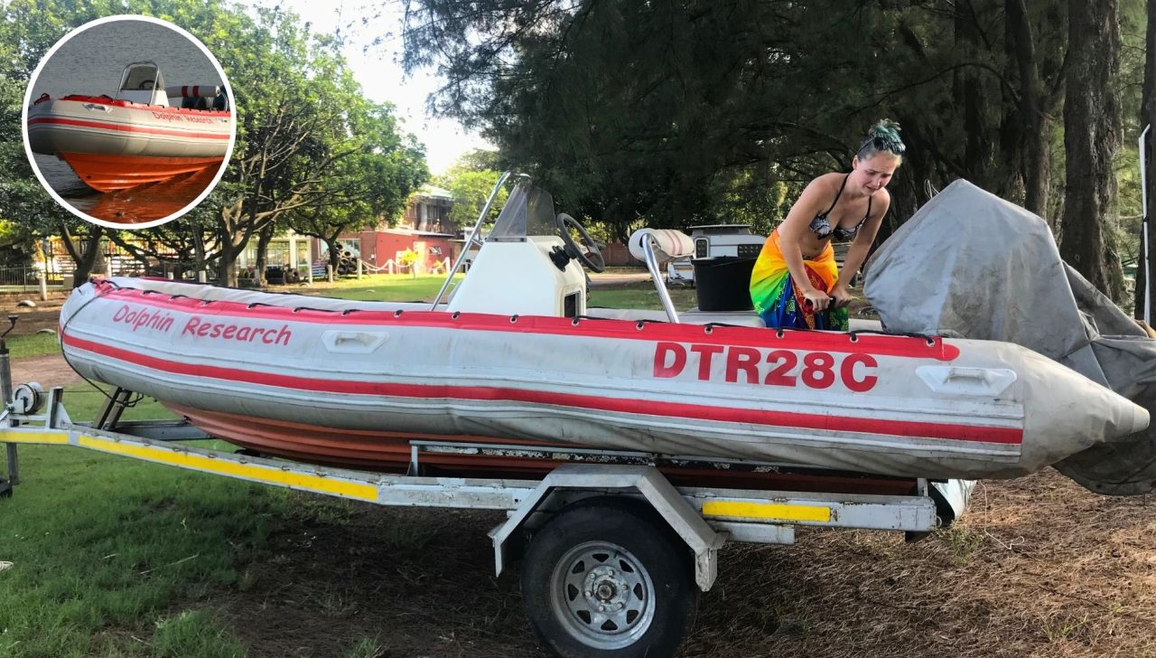 Südafrika: Die „Dolphin Research“ benötigt unsere Hilfe - GRD