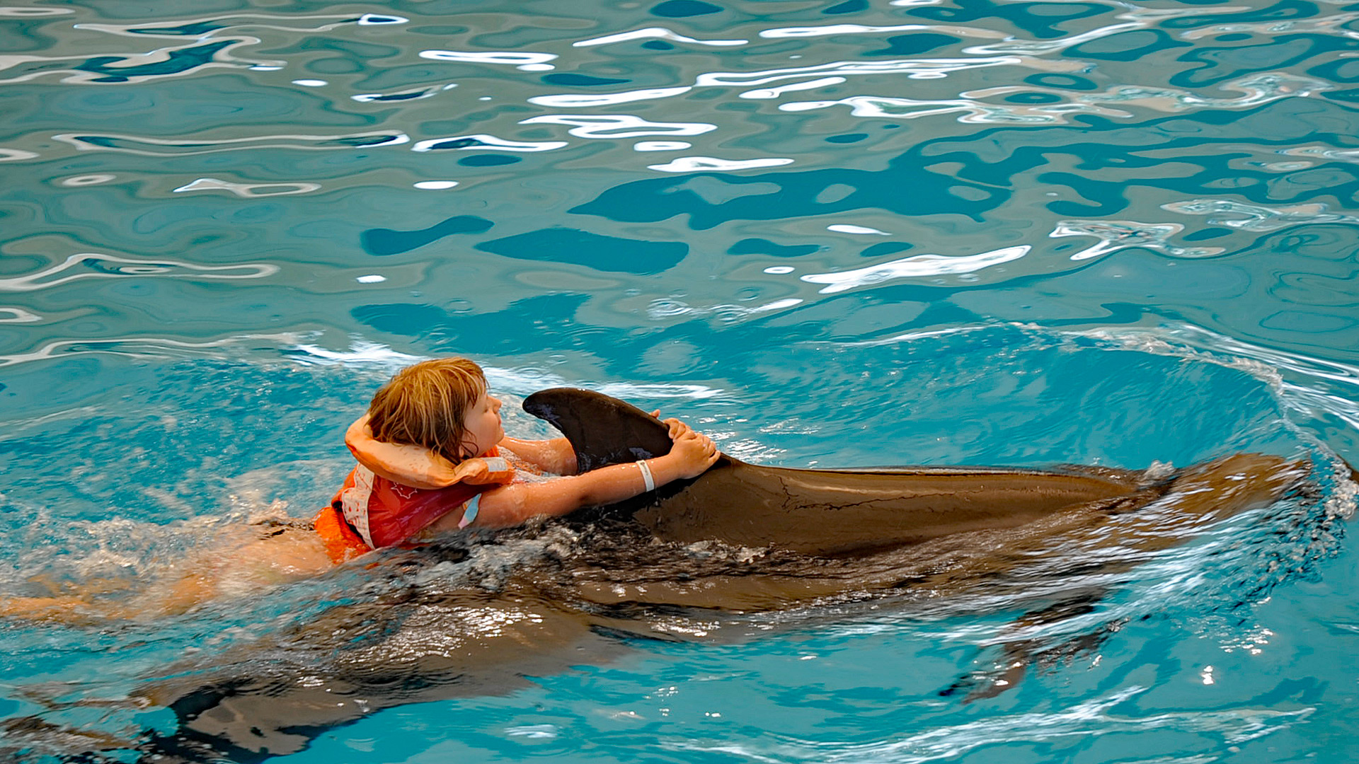 Wie sinnvoll ist die Delfintherapie mit in Gefangenschaft lebenden Delfinen in der heutigen Zeit ...