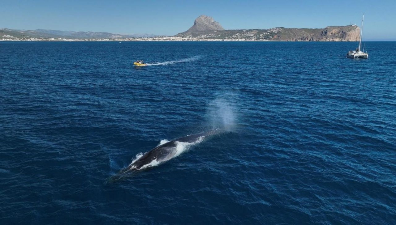 Mit 13 km/h kontinuierlich in Richtung Nordatlantik - GRD