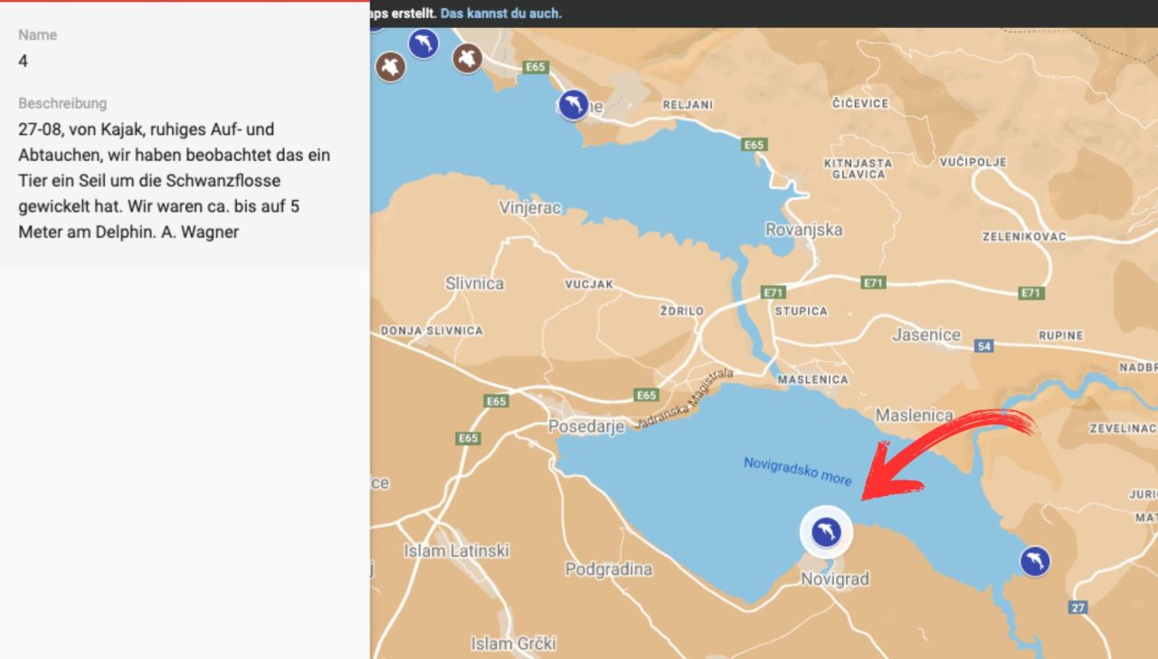 Adria-Delfin mit Seil an der Fluke - GRD